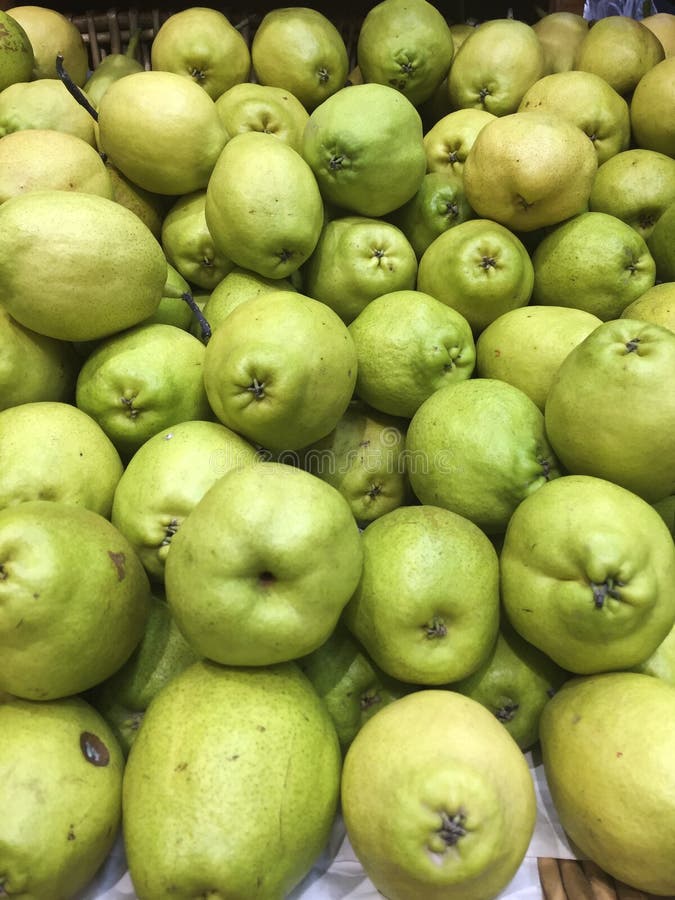 Fragrant pear group. stock image. Image of nature, vegetarian - 61498513