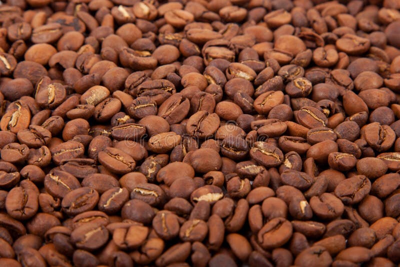 Fragrant Roasted Coffee Beans Stock Photo - Image of ingredient, drink ...