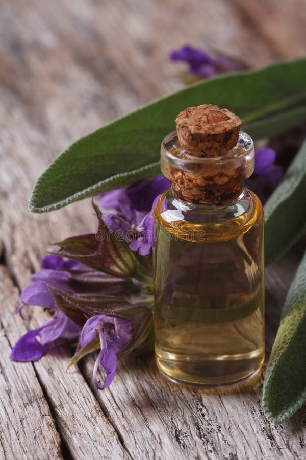 Fragrant Sage Tincture in Glass Bottle Vertical Stock Photo - Image of ...