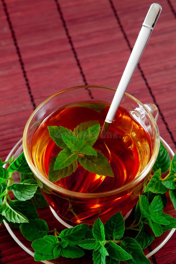 Fragrant Tea with Fresh Leaves of Green Tea Stock Photo - Image of ...