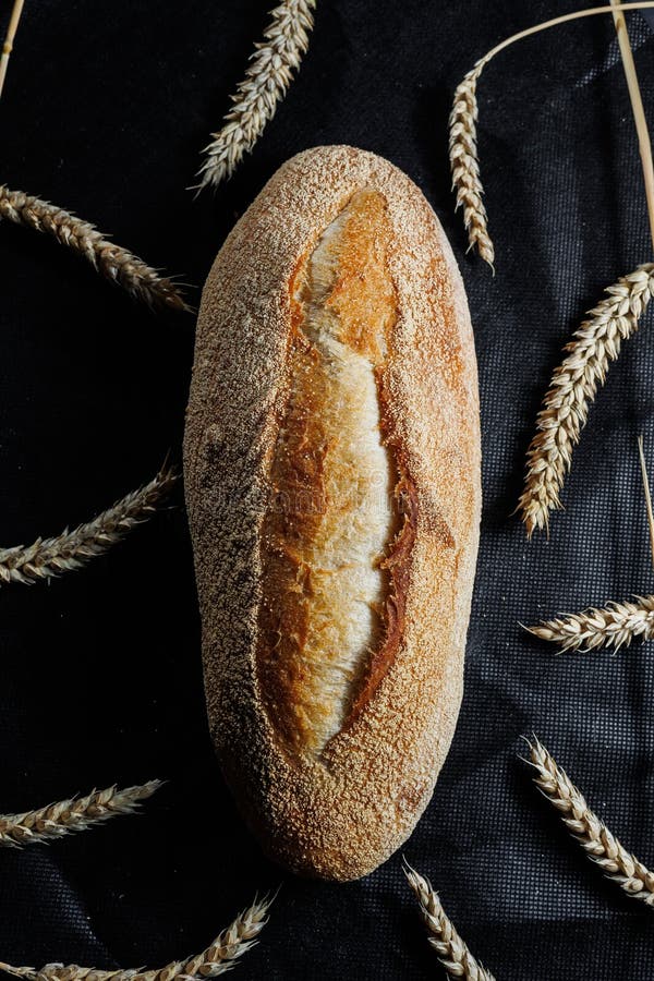 Fragrant whole grain bread stock photo. Image of loaf - 349866192