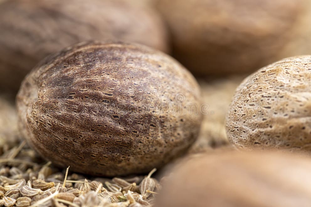 Fragrant Whole Nutmeg in the Kitchen Stock Photo - Image of organic ...