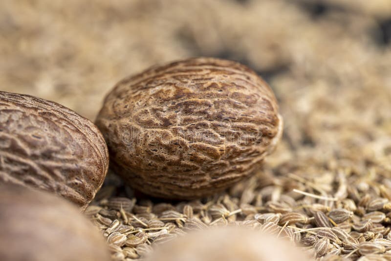 Fragrant Whole Nutmeg in the Kitchen Stock Photo - Image of halve ...