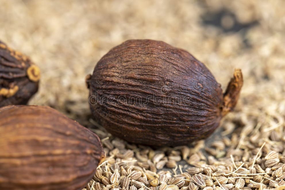 Fragrant Whole Nutmeg in the Kitchen Stock Image - Image of aromatic ...