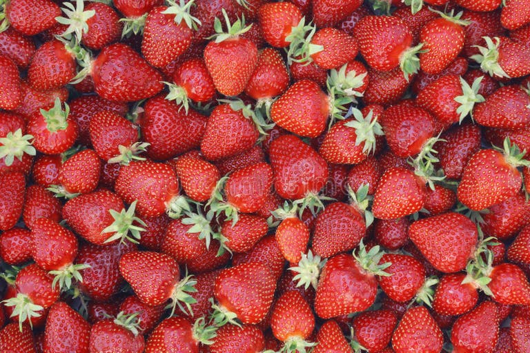 1,041,858 Photos de Fraise - Photos de stock gratuites et libres de ...