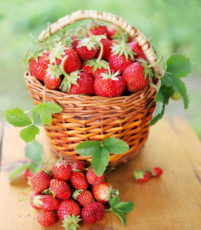 Fraise image stock. Image du fruits, mûr, fraise, doux - 7314331