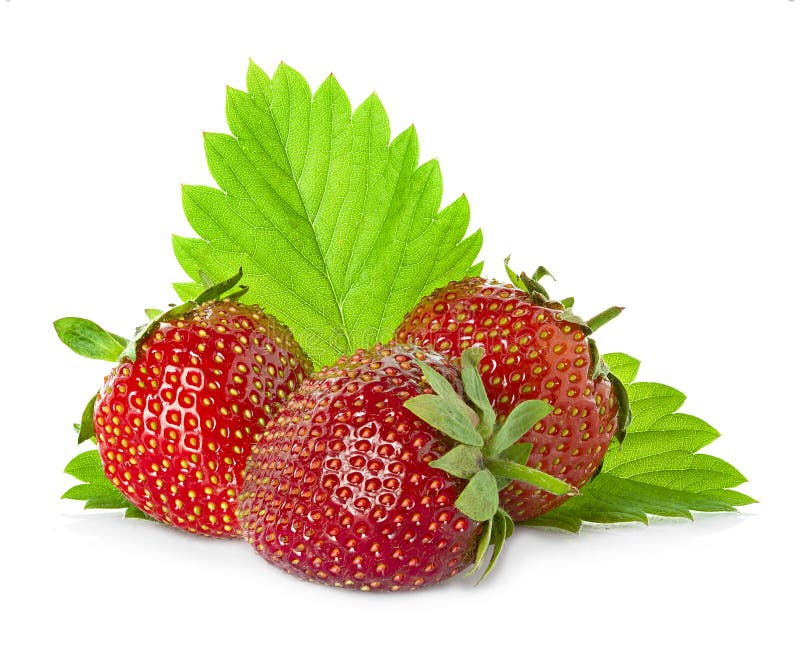 Ramassage De Fruits Rouges De Fraise Avec Des Lames Image stock - Image ...