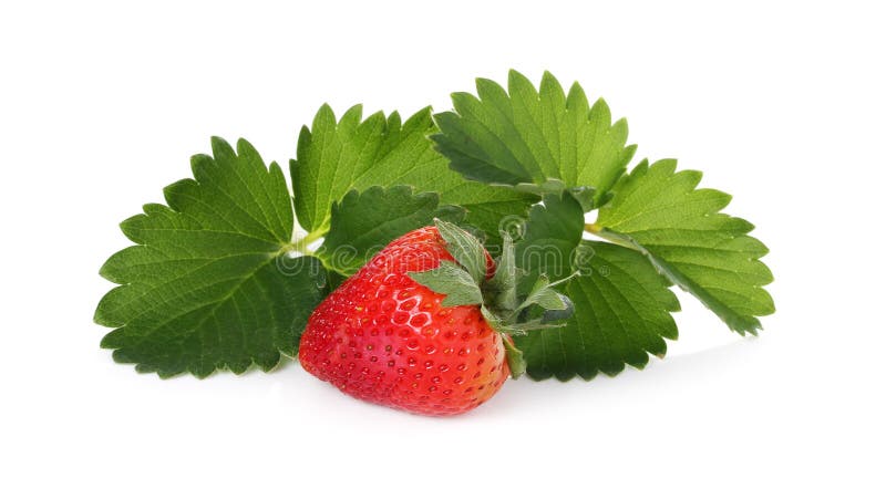 Fraise Avec La Feuille Verte D'isolement Sur Le Blanc Photo stock ...