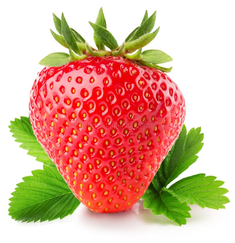 Feuille De Fraise D'isolement Sur Le Fond Blanc Image stock - Image du ...