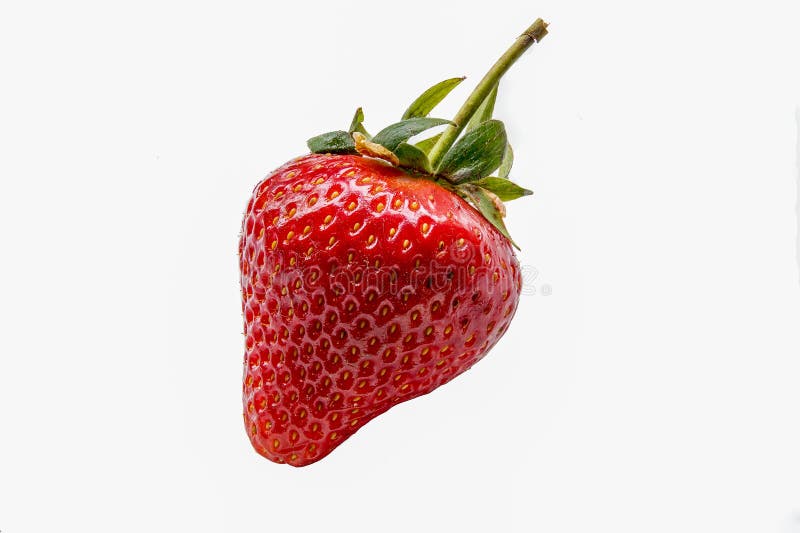 Fraise D'isolement Sur Un Fond Blanc Image stock - Image du ...