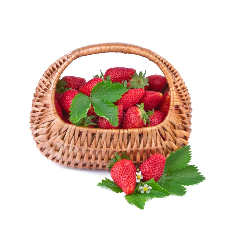 Panier de fraise image stock. Image du fraise, doux, frais - 5416861