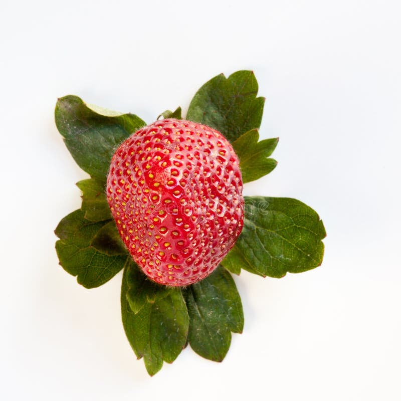 Fraise De Ci-dessus Avec Les Lames Vertes Photo stock - Image of ...