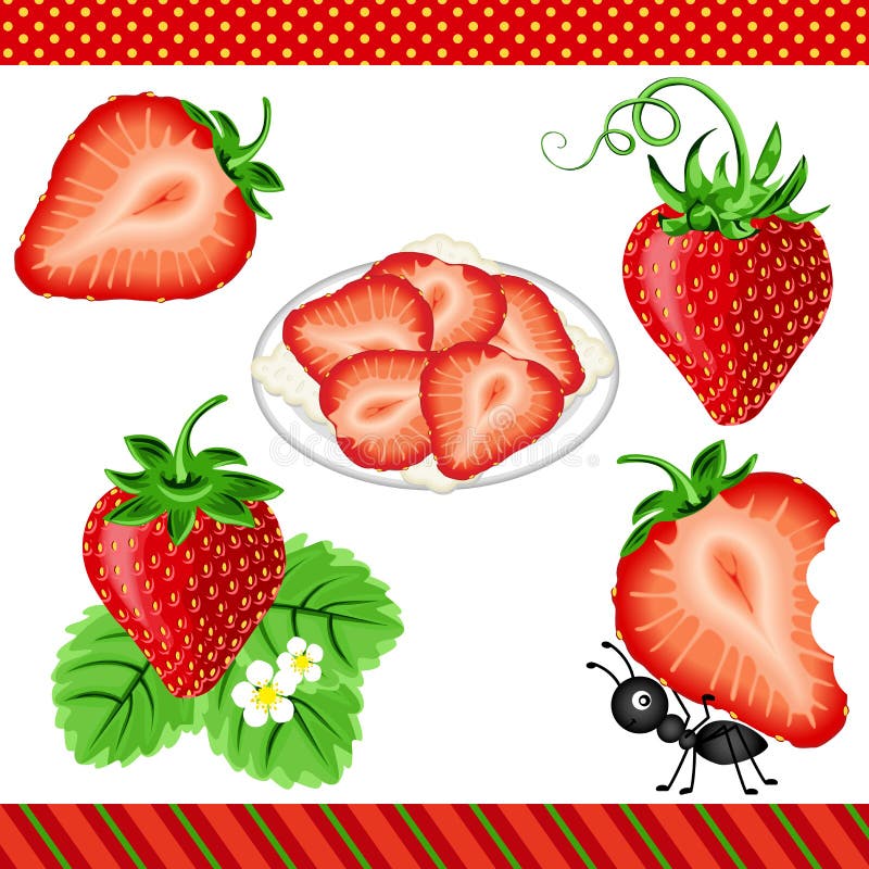 Fraise Digital Clipart illustration de vecteur. Illustration du ...