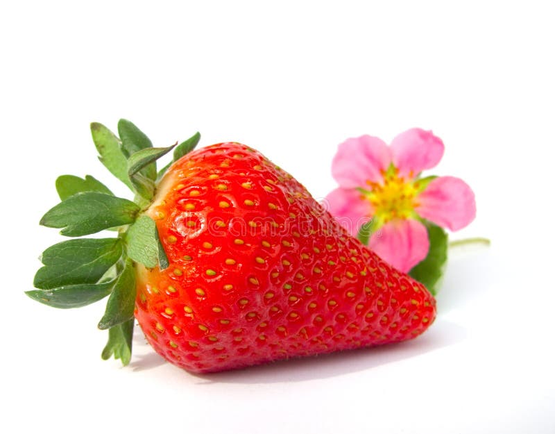 Fruits Frais De Fraise Avec Des Fleurs Et Des Lames Photo stock - Image ...