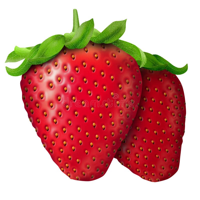 Placez Le Dessin De Fraise Fraise Sur Un Fond Blanc Vecteur ...