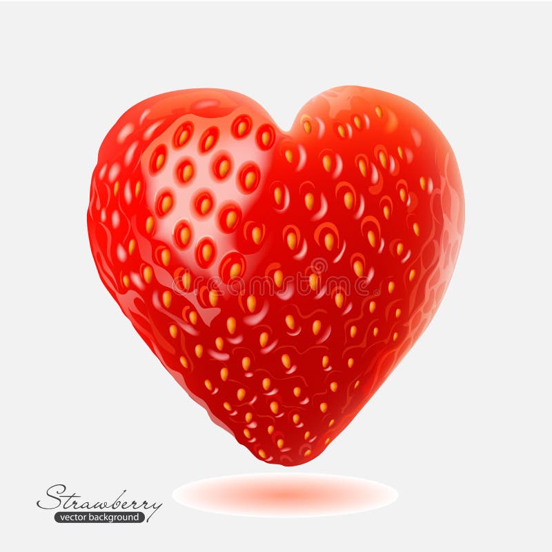 Fraise sous forme de coeur illustration stock. Illustration du lame ...