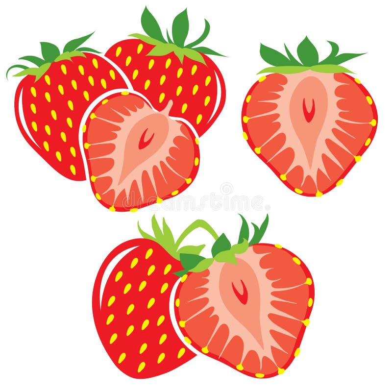 Fraises illustration de vecteur. Illustration du baie - 54760744