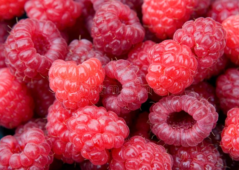 Framboise photo stock. Image du mûr, baies, texture, framboise - 1220130