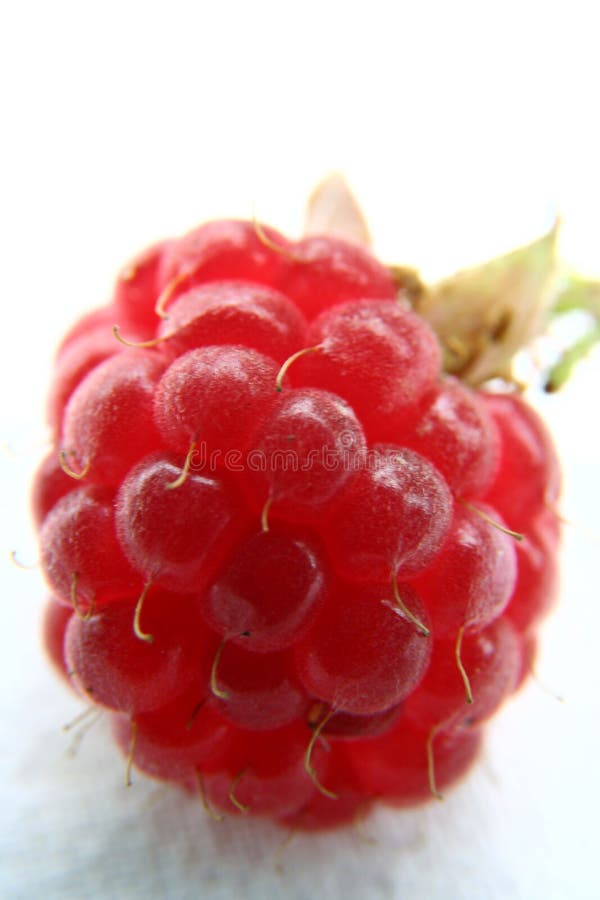 Framboise image stock. Image du milieux, lame, nature - 2915891