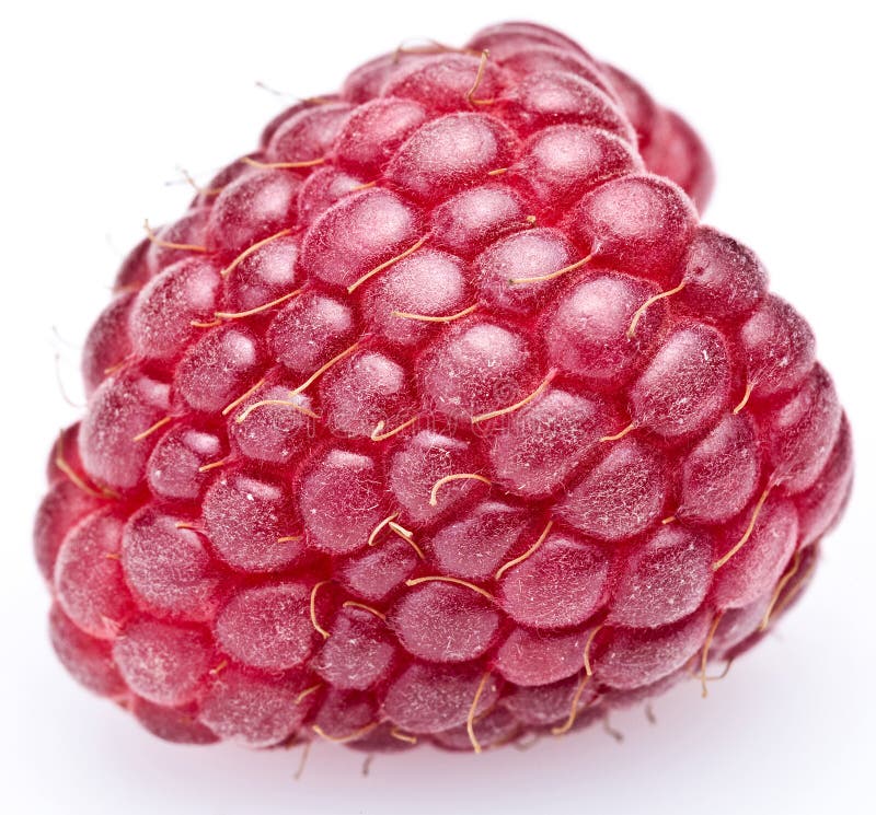 Framboise image stock. Image du délicieux, framboises - 7444773