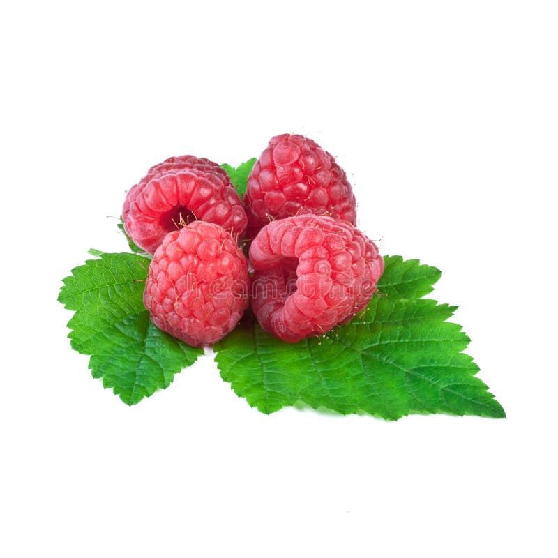 Framboise Isolée Sur Fond Blanc Image stock - Image du couleur ...