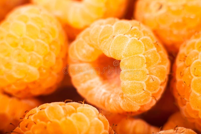 Framboise jaune image stock. Image du fond, vitamine - 33267433