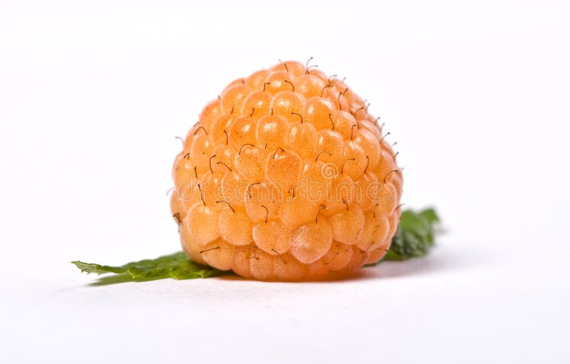 Framboise Jaune (instruction-macro) Photo stock - Image du produit ...