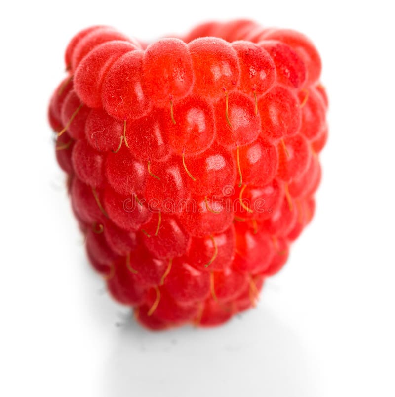 Framboise Rouge Mûre D'isolement Sur Le Fond Blanc Image stock - Image ...