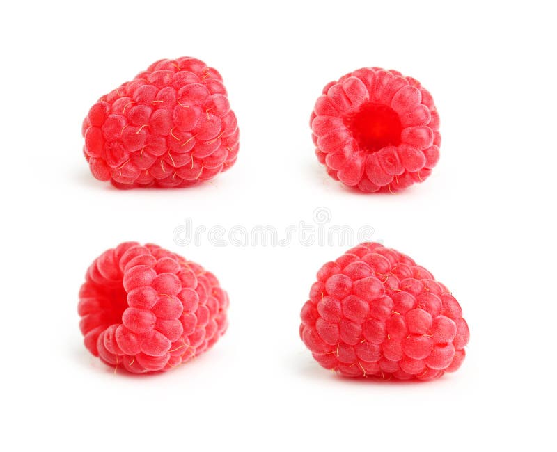 Framboise rouge image stock. Image du rouge, framboise - 56842019
