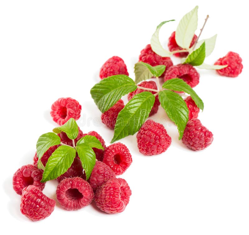 Framboises Avec La Chute De Feuilles Du Panier Photo stock - Image du ...