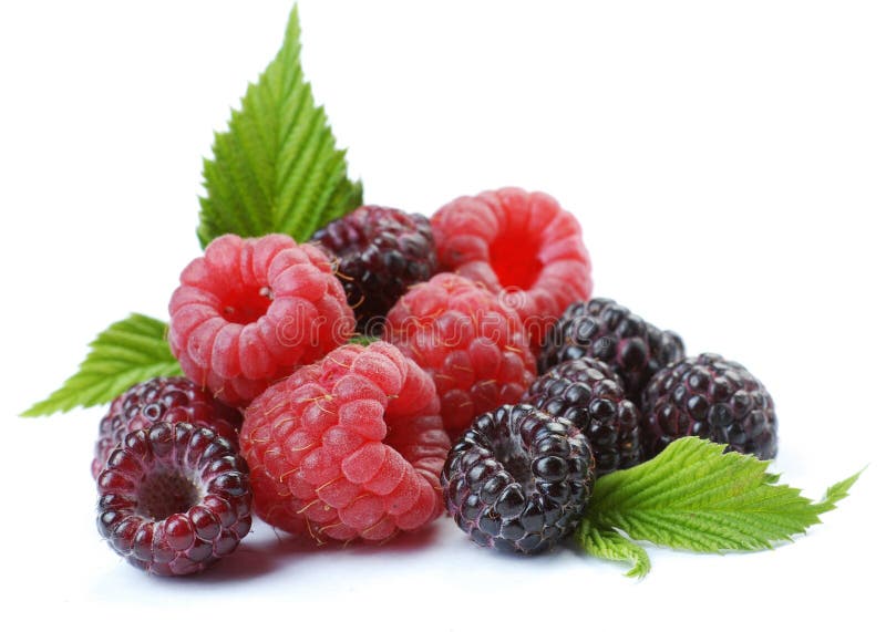 Framboise Rouge Et Noire Avec Des Lames Image stock - Image du ...