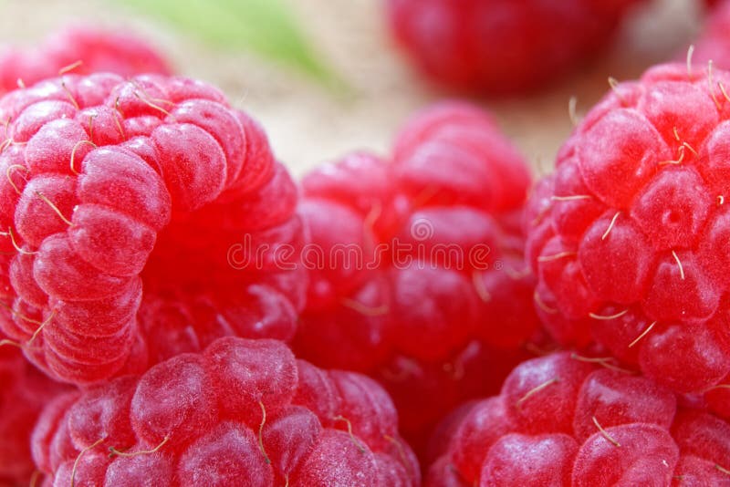 Framboises Rouges Mûres Sur Une Texture De Fibre De Bois Image stock ...