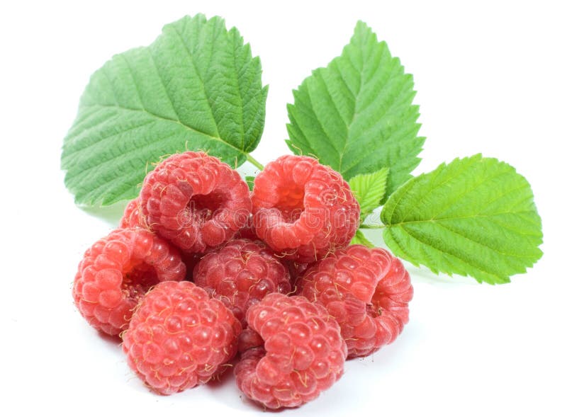 Framboos stock afbeelding. Image of geïsoleerd, rijp - 10001877