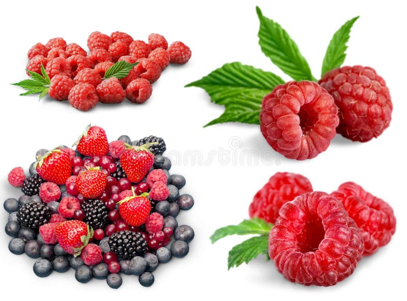 Framboos stock foto. Image of framboos, hoop, roos, vrucht - 117734872