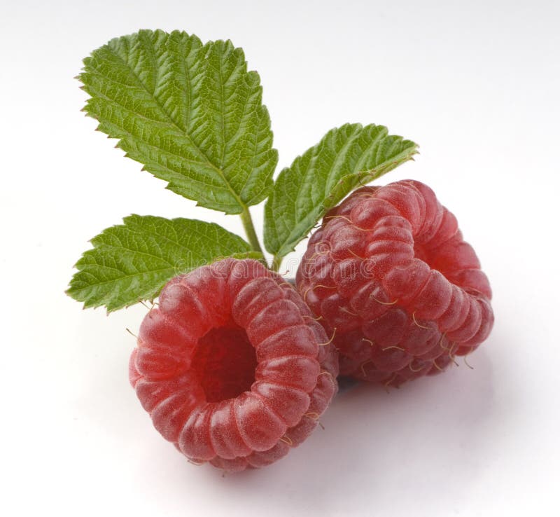 Framboos stock foto. Afbeelding bestaande uit rood, fruitig - 13479414