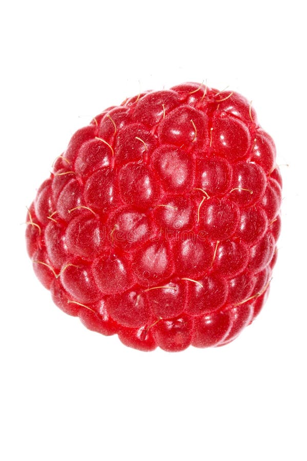 Het fruit van de framboos stock foto. Image of rood, eten - 2753460