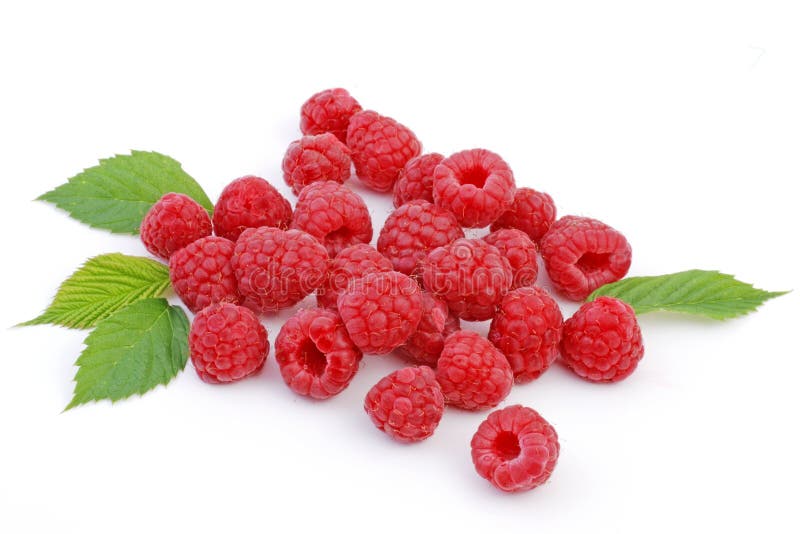 Framboos stock foto. Image of nagerecht, voedsel, rijp - 5723742
