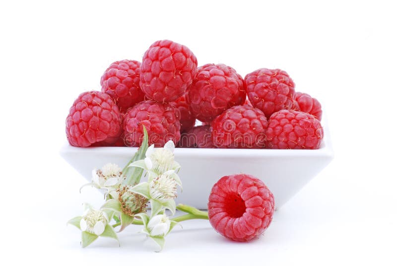 Framboos stock foto. Image of nagerecht, voedsel, rijp - 5723742