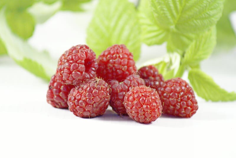 Frambozen stock foto. Image of geïsoleerd, gezond, framboos - 10522040