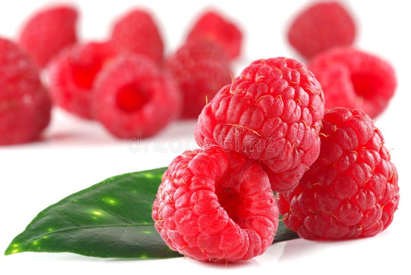 Frambozen stock foto. Image of voedsel, zoet, rijp, framboos - 11057452