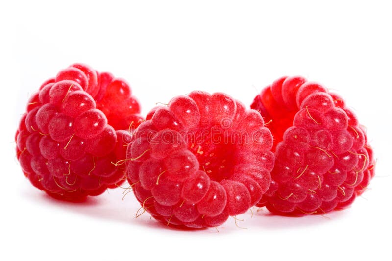 Frambozen stock foto. Image of vrucht, rood, trillend - 16783778