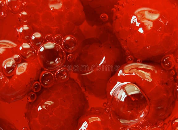 Frambuesa foto de archivo. Imagen de jalea, postre, burbujas - 10195316