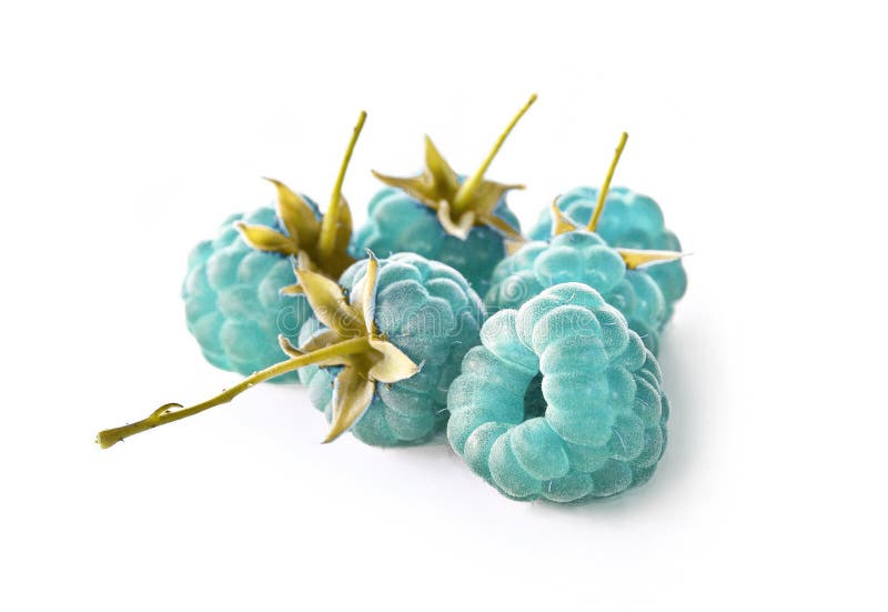 Frambuesa Fotos De Stock - Descarga 238,459 Fotos Libres de Derechos