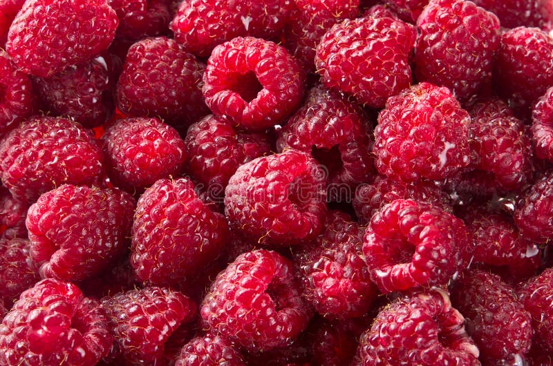 Frambuesa roja foto de archivo. Imagen de fresco, pila - 26322920