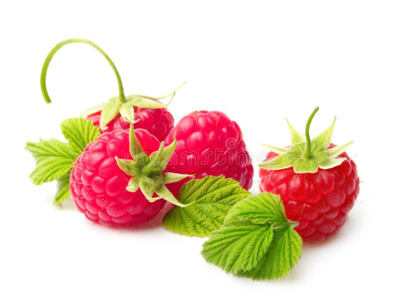 Frambuesa Roja De La Baya Aislada Imagen de archivo - Imagen de fruity ...