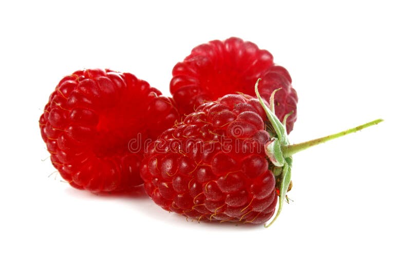 Frambuesa roja madura imagen de archivo. Imagen de vegetariano - 16133941