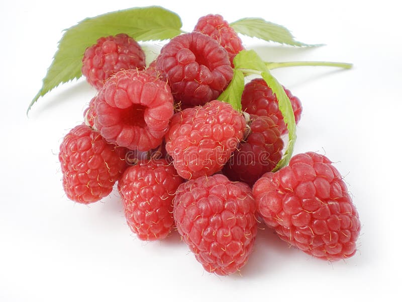 Frambuesas imagen de archivo. Imagen de grande, delicioso - 5635407