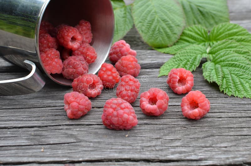 Frambuesas Rojas En Un Tablero De Madera Foto de archivo - Imagen de ...