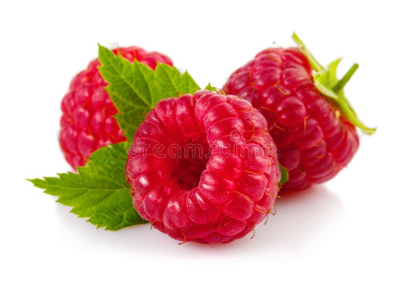 Frambuesas Rojas Maduras Aisladas En Blanco Imagen de archivo - Imagen ...