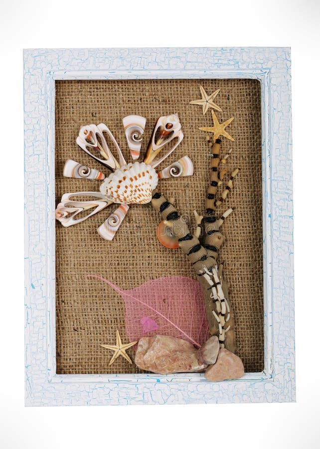 Frame stock photo. Image of leaf, seashell, cockleshell - 7402366